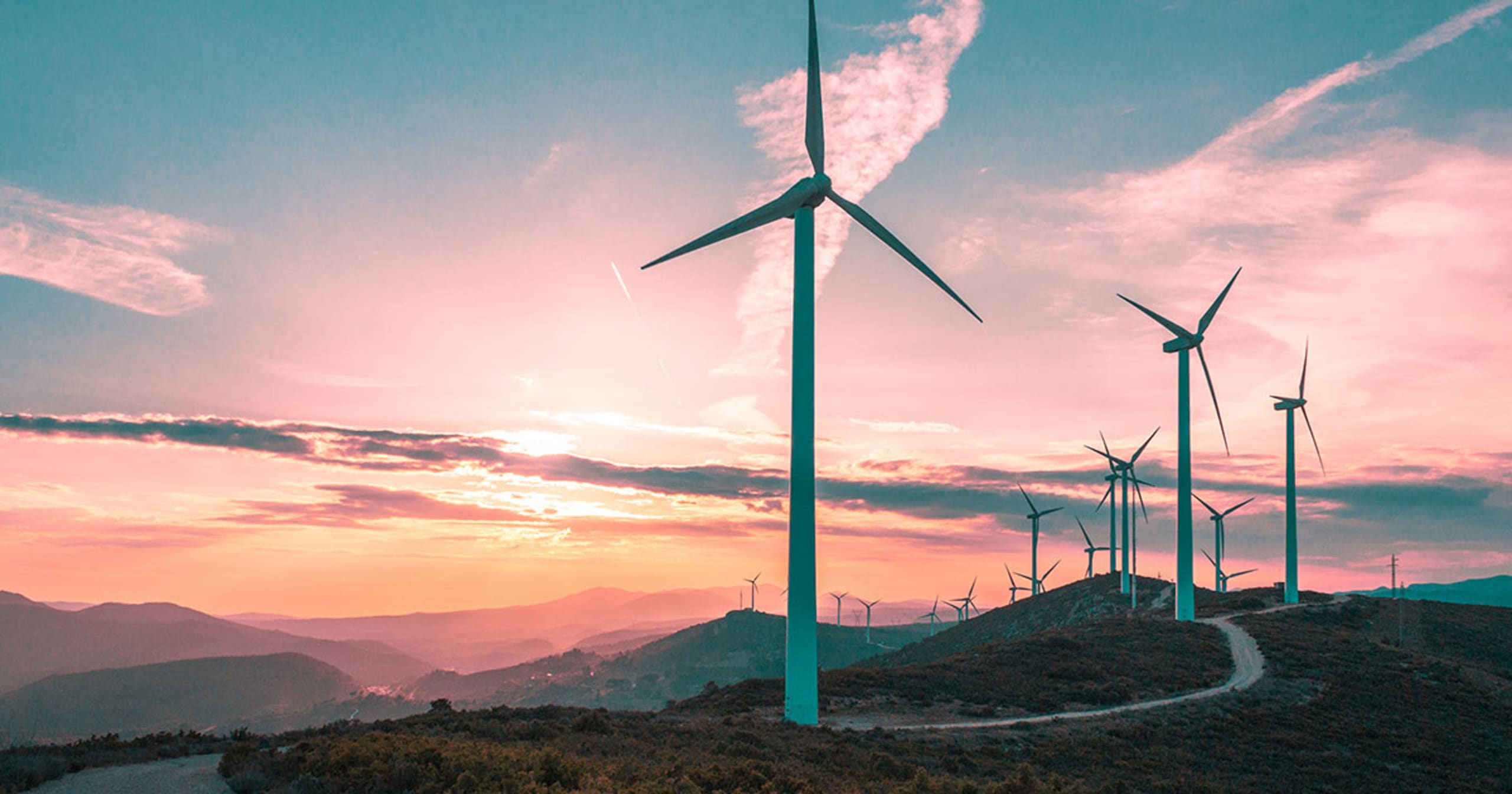 Adding Value Through Large-Cap Sustainable Investing