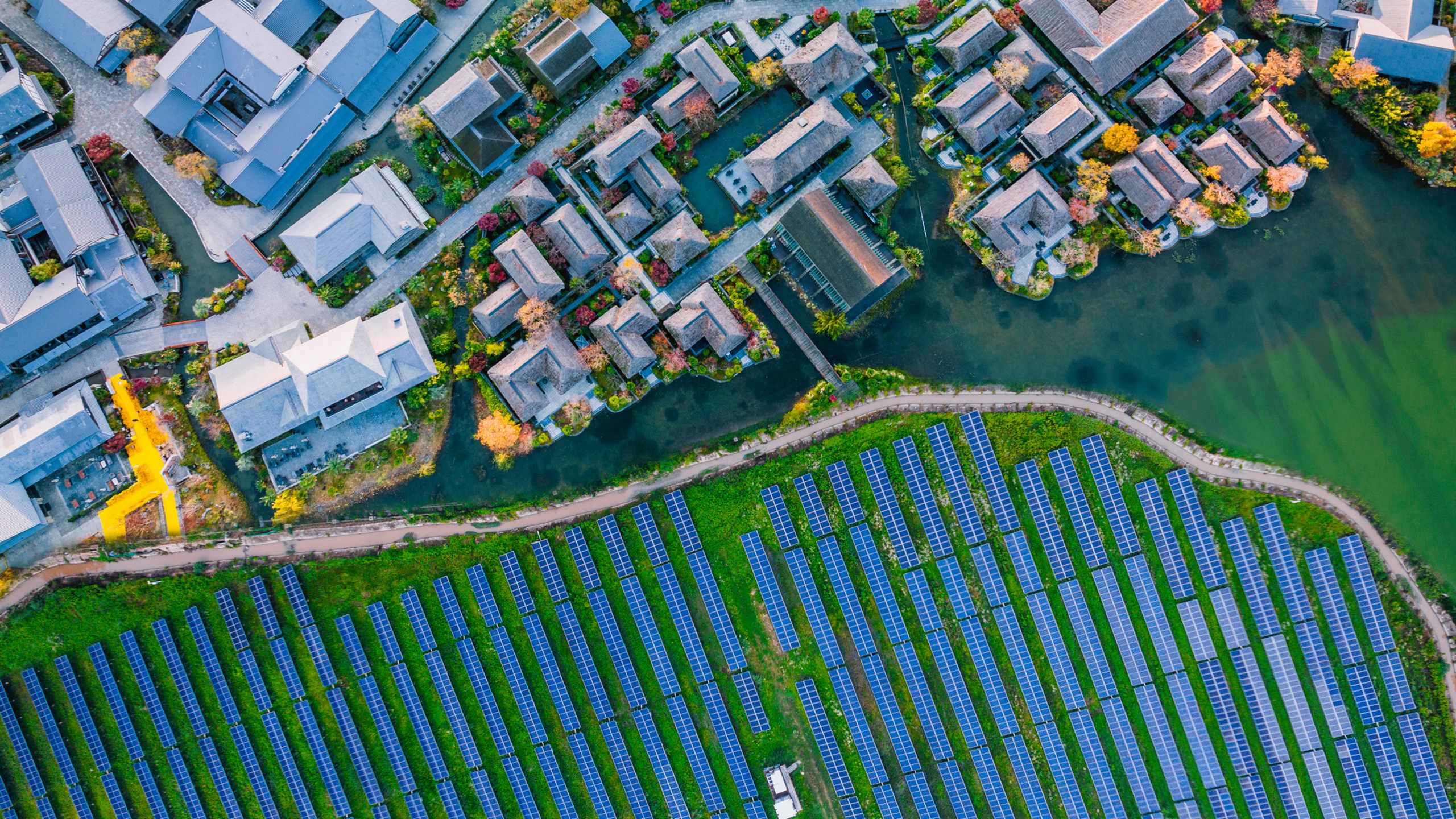 Large Cap Equity Fund: 2025 Sustainability Report