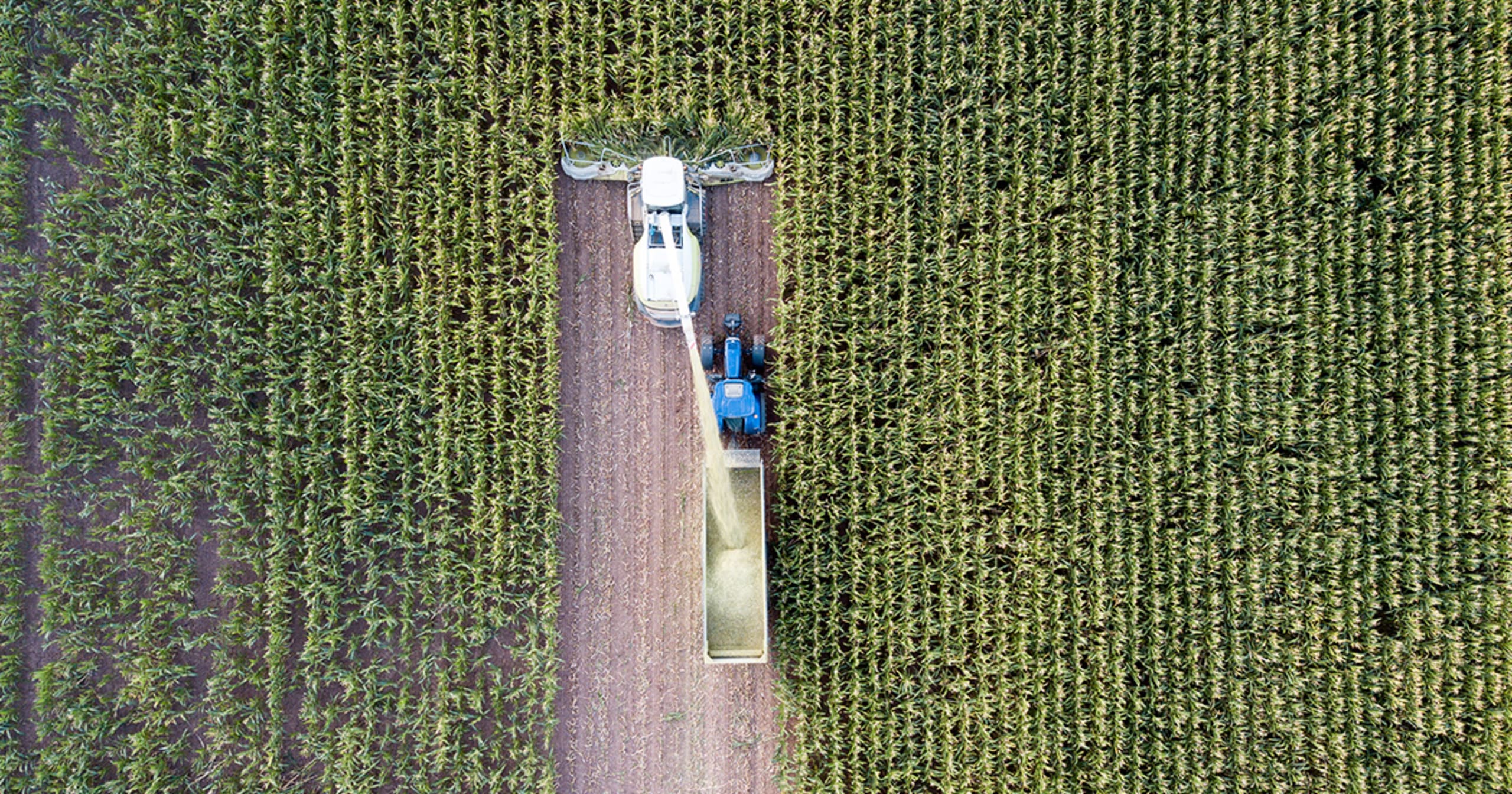 Understanding the Tax Efficiency of ETFs