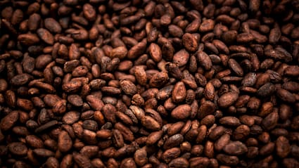 Cocoa Prices Surge Amid Market Volatility and Inflation