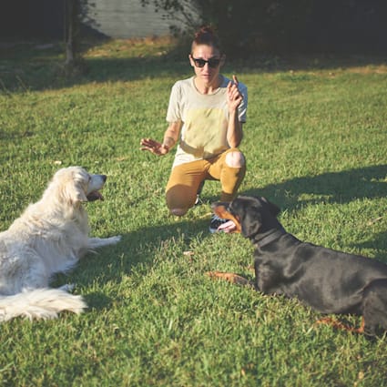 How to Build Your Investment Portfolio